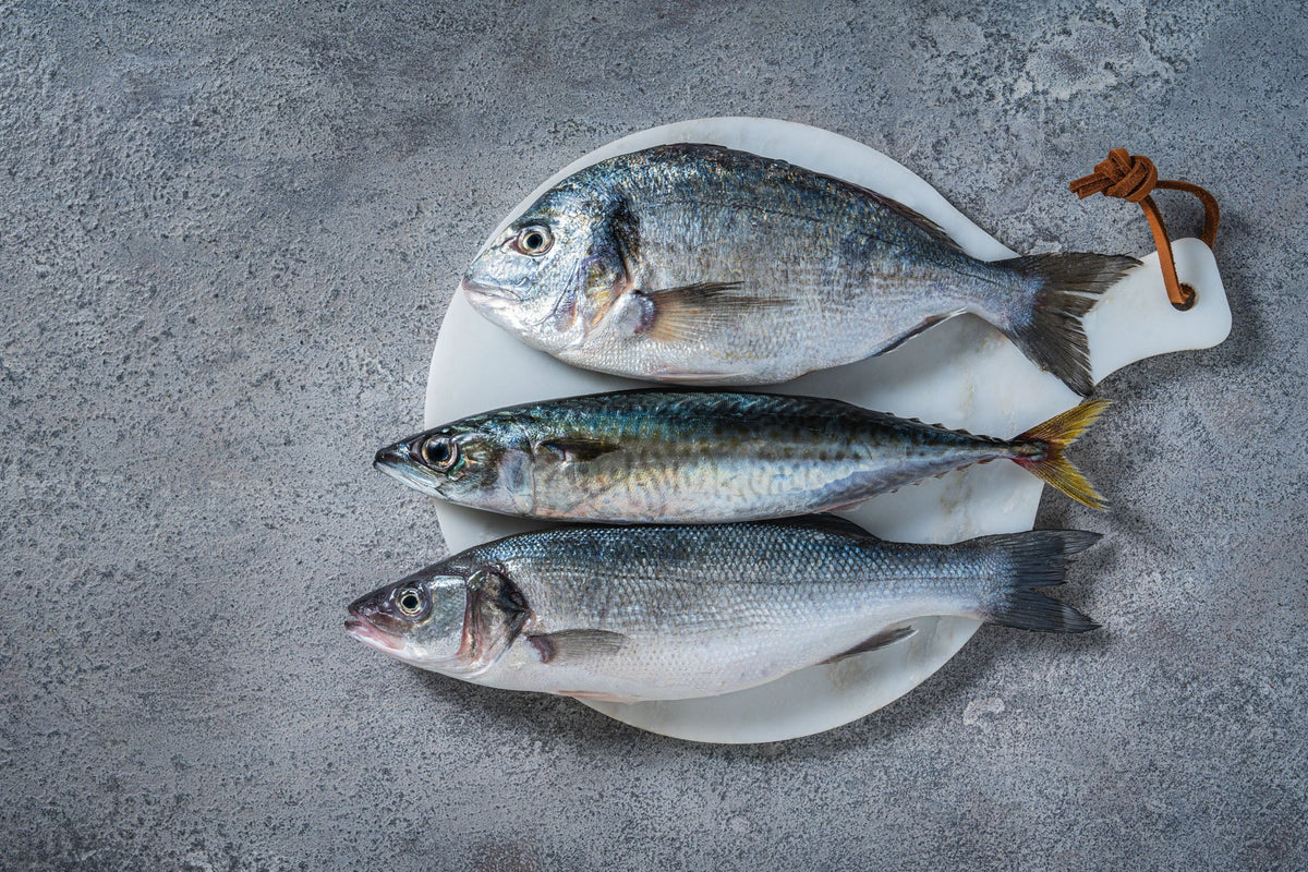 How to Find Fresh Fish for Grilling | American Made Grills
